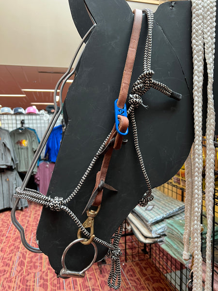 Starting Bridle – Guy McLean Horsemanship