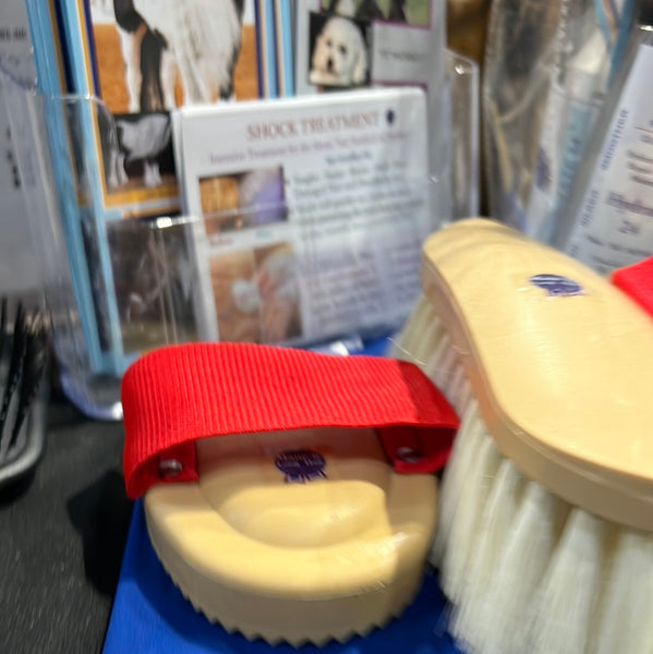 Mane-ly Curry – Guy McLean Horsemanship